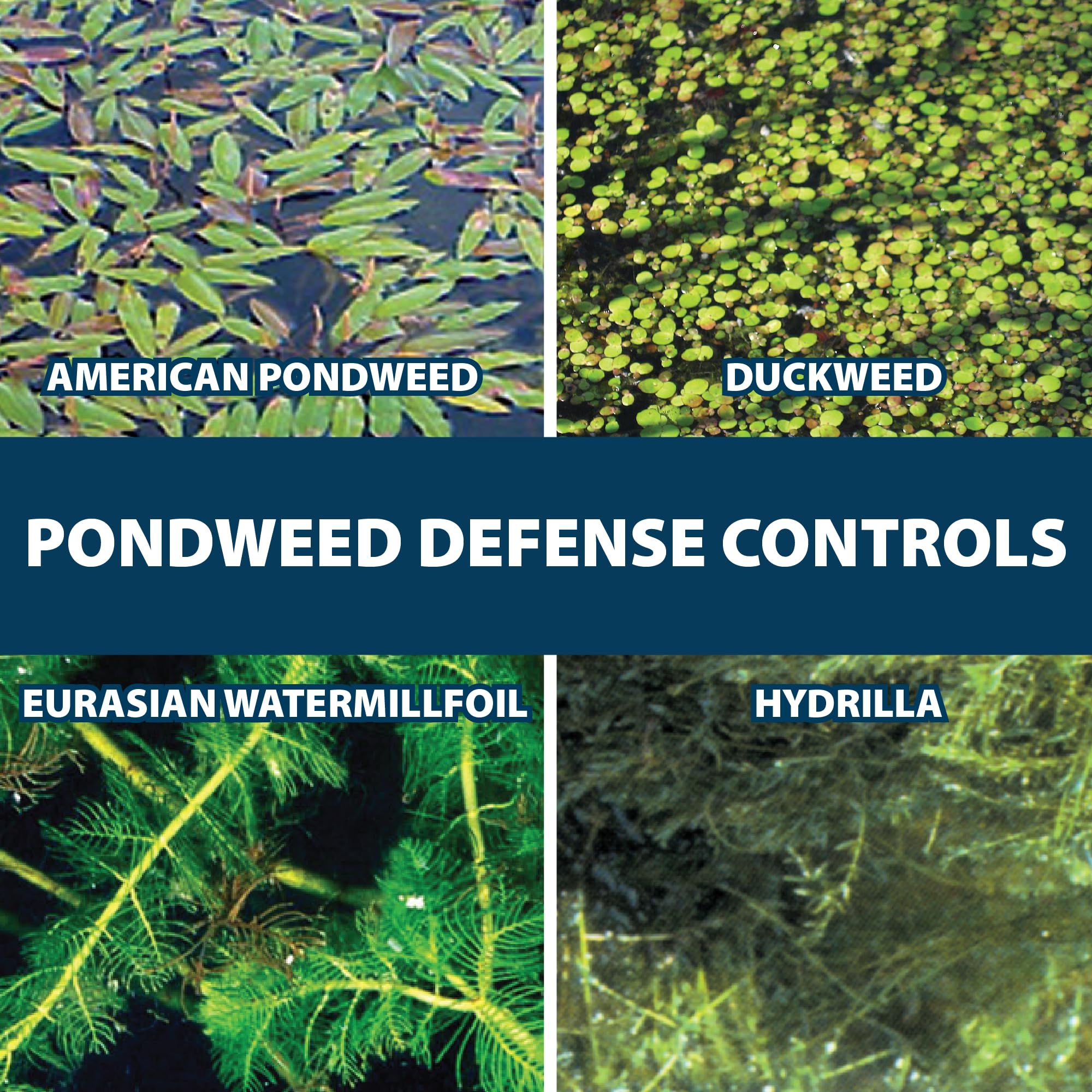 Airmax Ultra Pondweed Defense Aquatic Weed & Plant Killer, Easy Spray Application to Clean & Clear Large Pond & Lake Water, Liquid Treatment Control Concentrate, Fish Safe, 1 Quart