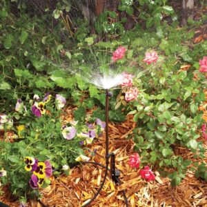 Rain Bird MSSTKTH1S Drip Irrigation Micro-Spray on Adjustable Height Staked Riser with 1/4" Tubing and Barbed Coupler, 180° Half Circle Pattern, 0 - 10.5’ Spray Distance,Black