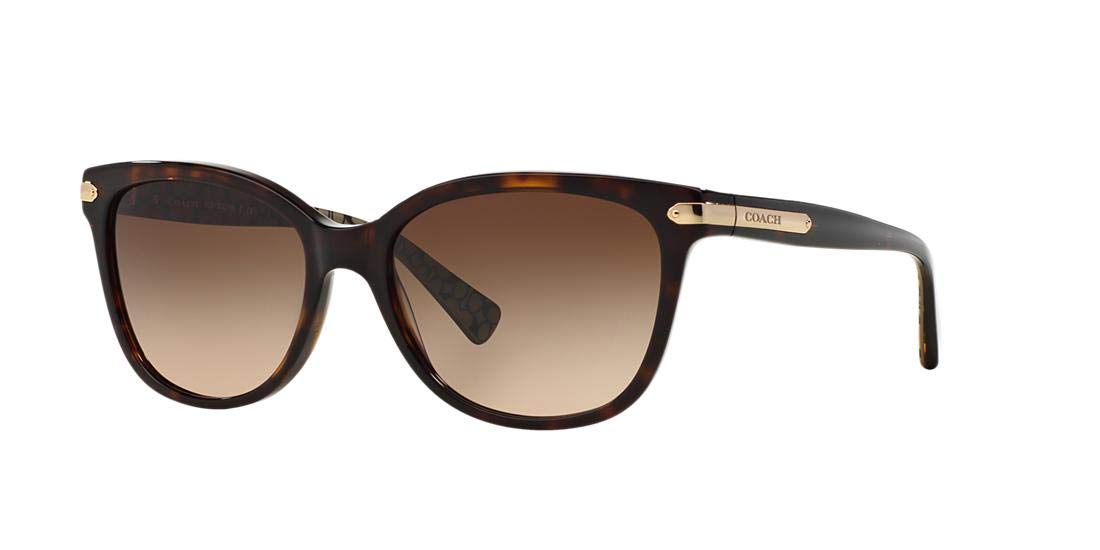 Coach HC8132 Sunglasses, Dark Tortoise/Dark Brown Gradient, 57 mm