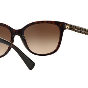 Coach HC8132 Sunglasses, Dark Tortoise/Dark Brown Gradient, 57 mm