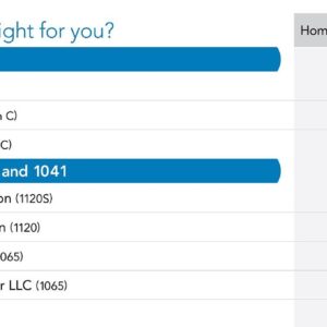 Turbo Tax Business 2014