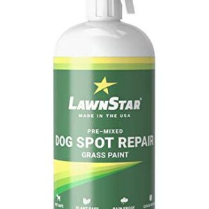 Dog Spot Repair Grass Paint, Pre-Mixed & Ready to Spray - Covers Brown Burn Patches on Lawn (32 fl oz)