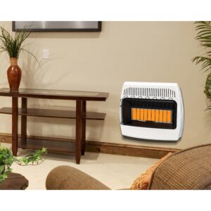 Dyna-Glo IR30PMDG-1 30,000 BTU Liquid Propane Infrared Vent Free Wall Heater White