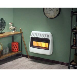 Dyna-Glo IR30PMDG-1 30,000 BTU Liquid Propane Infrared Vent Free Wall Heater White