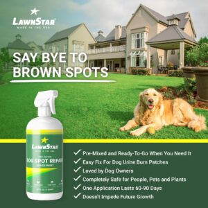 Dog Spot Repair Grass Paint, Pre-Mixed & Ready to Spray - Covers Brown Burn Patches on Lawn (32 fl oz)