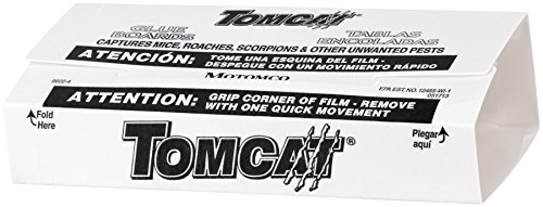 Tomcat Glue Boards with Immediate Grip Glue for Mice, Cockroaches, and Insects, Use Flat or Covered, Ready-To-Use, 4 Traps