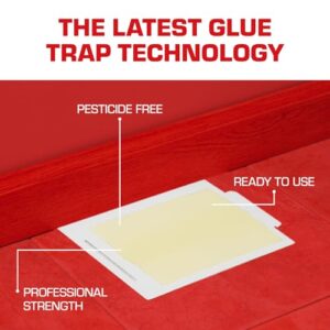 Tomcat Glue Boards with Immediate Grip Glue for Mice, Cockroaches, and Insects, Use Flat or Covered, Ready-To-Use, 4 Traps