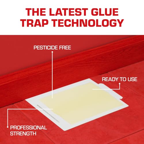 Tomcat Glue Boards with Immediate Grip Glue for Mice, Cockroaches, and Insects, Use Flat or Covered, Ready-To-Use, 4 Traps