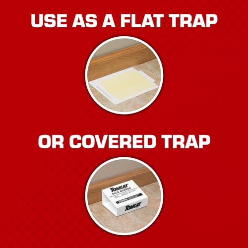 Tomcat Glue Boards with Immediate Grip Glue for Mice, Cockroaches, and Insects, Use Flat or Covered, Ready-To-Use, 4 Traps