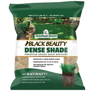 jonathan green (10600) black beauty dense shade grass seed - cool season lawn seed (3 lb)