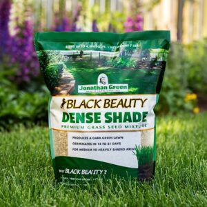 Jonathan Green (10600) Black Beauty Dense Shade Grass Seed - Cool Season Lawn Seed (3 lb)