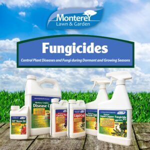 Monterey Liquid Copper Fungicide RTU - Organic Gardening Fungicide for Flowers, Fruits, & Vegetables - 32 oz