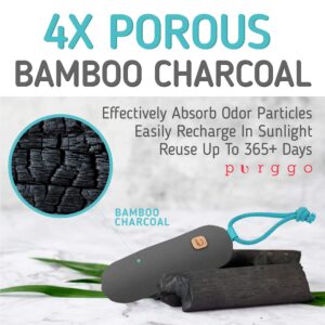 PURGGO Bamboo Charcoal Air Purifying Bag - Last 365+ Days - Shoe Deodorizer, Odor Eliminator - No Chemicals - Air Freshener for Shoes and Closet - Remove Odor Naturally - [4 Pack] [Gray]