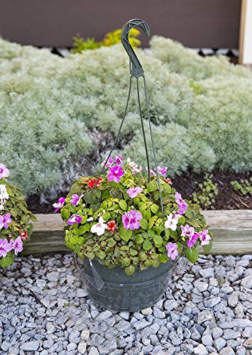 Curtis Wagner Plastics Plant Hanging Basket Drip Pans (5-Pack) - Clear, Round (Diameter = 9" Base, 12" Top, 3.75" Depth) Thin Plastic Indoor Outdoor