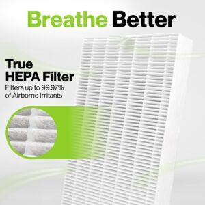 Durabasics 3 Pack of HEPA Filters Compatible with Honeywell Air Purifier Replacement Filters, Honeywell Air Purifier Filters, Honeywell Filter R, Honeywell HEPA Filter Replacement & Honeywell HPA300