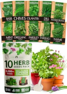 10 culinary herb seeds - non-gmo, heirloom seeds - 3000+ seeds for planting for outdoor or indoor herb garden, basil, cilantro, parsley, chives, thyme, oregano, dill, marjoram, mint, tarragon