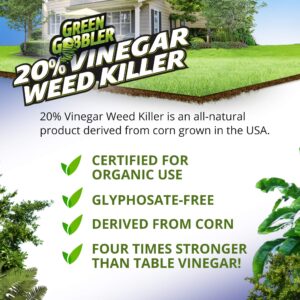 Green Gobbler 20% Vinegar Weed & Grass Killer | Natural and Organic Weed & Grass Killer | 5 Gallon