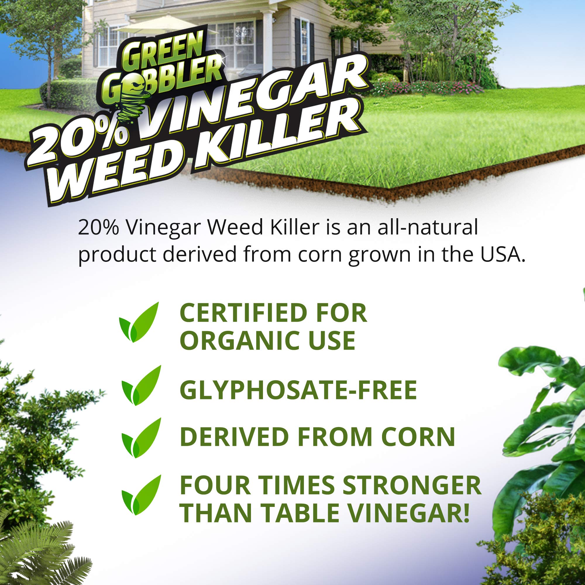 Green Gobbler 20% Vinegar Weed & Grass Killer | Natural and Organic Weed & Grass Killer | 5 Gallon