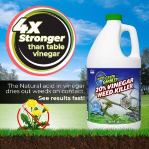 Green Gobbler 20% Vinegar Weed & Grass Killer | Natural and Organic Weed & Grass Killer | 5 Gallon