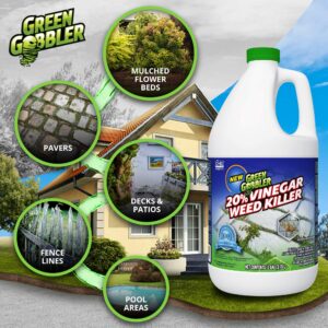 Green Gobbler 20% Vinegar Weed & Grass Killer | Natural and Organic Weed & Grass Killer | 5 Gallon