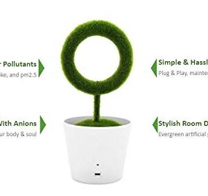 Rockwood Plant Air Purifier