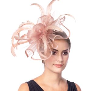 Lucky Leaf Girl Lady Hat Headwear Organza Church Feather Clip Fascinators Hat Wedding Party Kentucky Derby Cap for Women(F-5-Dark Pink)