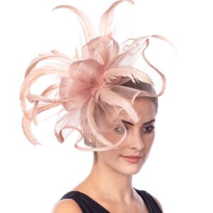 Lucky Leaf Girl Lady Hat Headwear Organza Church Feather Clip Fascinators Hat Wedding Party Kentucky Derby Cap for Women(F-5-Dark Pink)