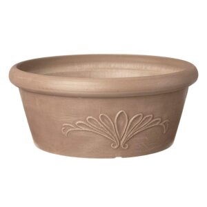 arcadia garden products psw pot ta30tp collection shallow bulb pan planter dish low bowl for succulents, bonsai, fairy gardens, herbs, 12-inch, taupe