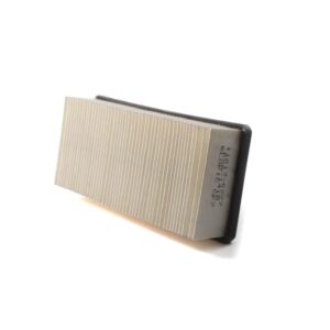 MTD Genuine Parts /Arnold 490-200-M085 Air Filter, Black