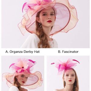 Oridoor Women Organza Fascinator Church Kentucky Derby Hat Floral Tea Party Wedding Hat Rose, 003C Rose And Pink