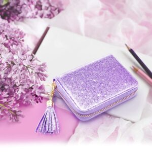 Coco Rossi Small Credit Card Wallet RFID Glitter Cute Accordion Card Holder with Zipper for Women