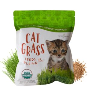 organic cat grass seed blend for planting - 12 oz. handy pantry brand - a healthy mix of organic wheatgrass seeds, barley, oats, and rye seeds - non-gmo wheatgrass seeds for pets