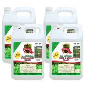 natural armor weed and grass killer all-natural concentrated formula. contains no glyphosate (1 case of 4 gallon refills)