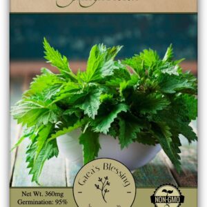 Gaea's Blessing Seeds - Stinging Nettle Seeds - Non-GMO Seeds with Easy to Follow Instructions - Open-Pollinated Heirloom 95% Germination