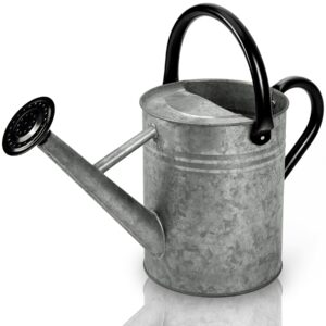 cesun metal watering can 1 gallon for outdoors plants, galvanized steel watering pot with removable spray spout, movable upper handle - perfect for outdoor use (vintage zinc)