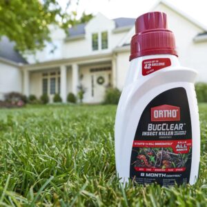 Ortho BugClear Insect Killer for Lawns & Landscapes Concentrate - Kills Periodical Cicadas, Mosquitoes, Ants, Spiders, Fleas, Ticks & More, Outdoor Bug Spray with Long Lasting Control, 32 oz.