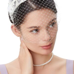 BABEYOND Bridal Wedding Veil Fascinator Mesh Lace Headband Tea Party Flower Fascinator Funeral Hats for Women