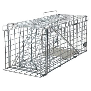 gingbau squirrel trap heavy duty humane live animal cage trap for small rabbits, weasels and other similar-size rodents