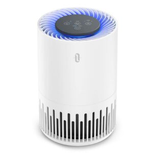 taotronics hepa air purifier for home, allergens smoke pollen pets hair, desktop air cleaner with true hepa filter, sleep mode, night light, odors dust, bedroom office