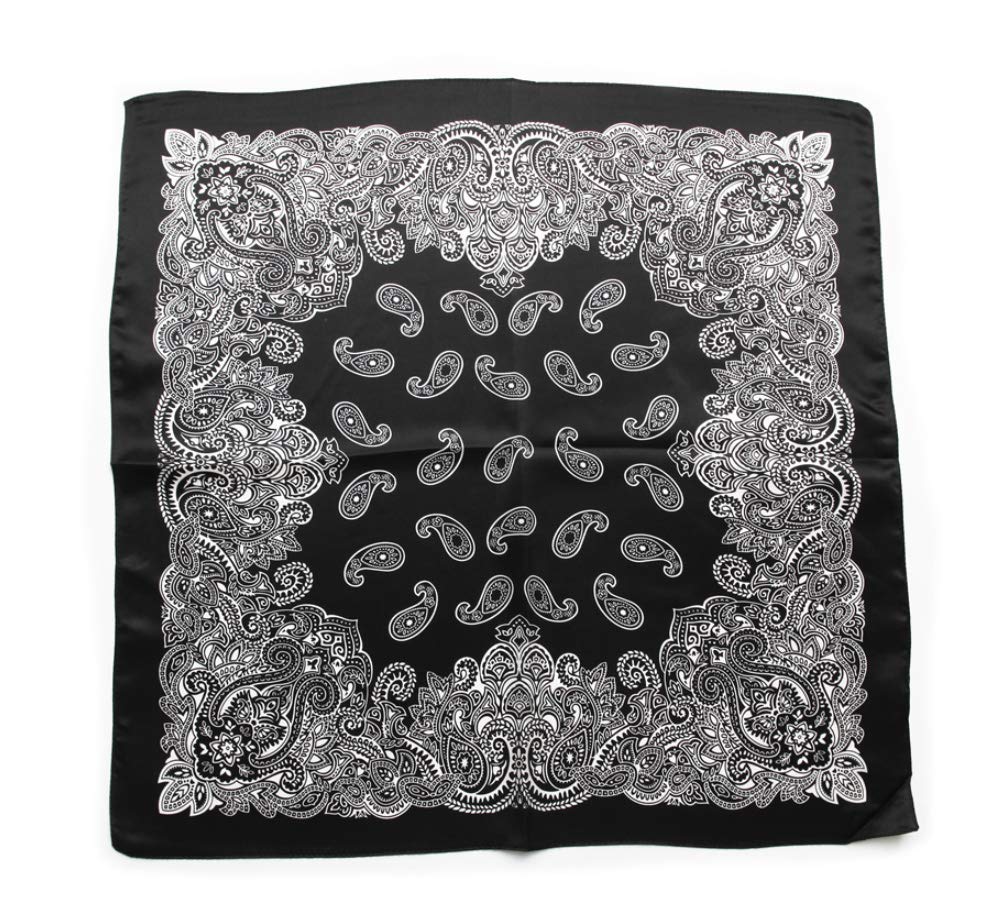 JERLA Women's Men's Small Square satin 100% Real Mulberry Silk Scarfs paisley Hair head face scarf 21" x 21" (Paisley black)