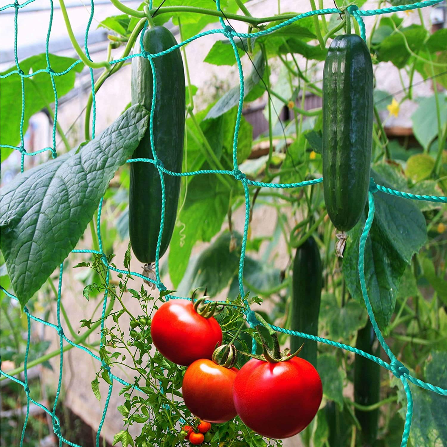 Garden Trellis Netting Heavy Duty for Climbing Plants, Cucumber, Vine, Fruits & Vegetables Tomato Plants Trellis Net, Climbing Vining Plants (8.2' x 6.6'Ft)