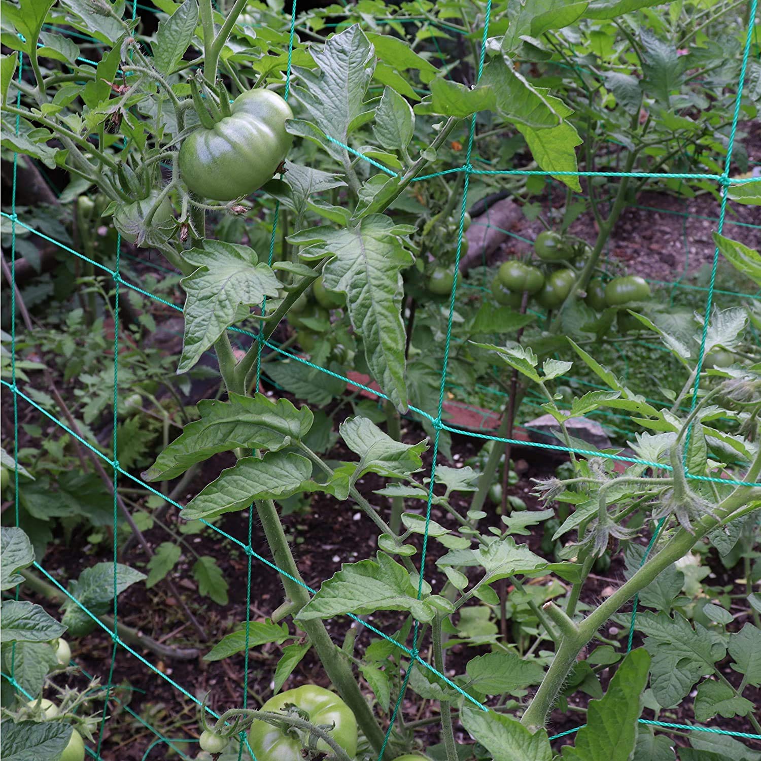 Garden Trellis Netting Heavy Duty for Climbing Plants, Cucumber, Vine, Fruits & Vegetables Tomato Plants Trellis Net, Climbing Vining Plants (8.2' x 6.6'Ft)