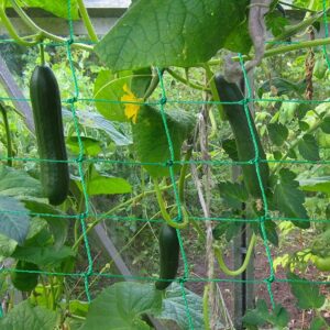 Garden Trellis Netting Heavy Duty for Climbing Plants, Cucumber, Vine, Fruits & Vegetables Tomato Plants Trellis Net, Climbing Vining Plants (8.2' x 6.6'Ft)