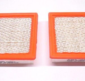 Generac 2 Pack Genuine 073111S Air Filter Fits 073111GS OEM