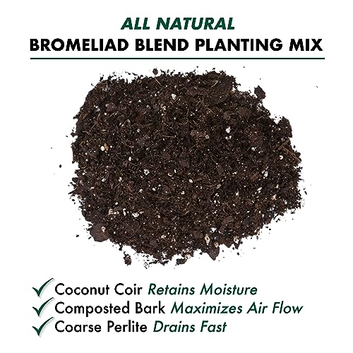 Better-Gro Bromeliad Blend 8 Quart