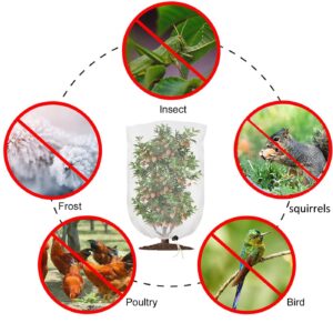 HHTHH 2pcs 3.9x5.9ft Garden Netting Bags with Drawstring Plant Mesh Cover Protect Vegetable Fruit Trees from Insect Birds