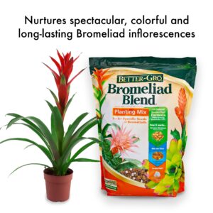 Better-Gro Bromeliad Blend 8 Quart