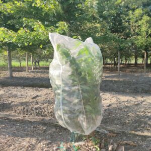 HHTHH 2pcs 3.9x5.9ft Garden Netting Bags with Drawstring Plant Mesh Cover Protect Vegetable Fruit Trees from Insect Birds