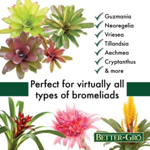 Better-Gro Bromeliad Blend 8 Quart