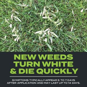 Scotts Turf Builder Triple Action Built For Seeding - Weed Preventer and Fertilizer for New Lawns, 1,000 sq. ft., 4.3 lbs.